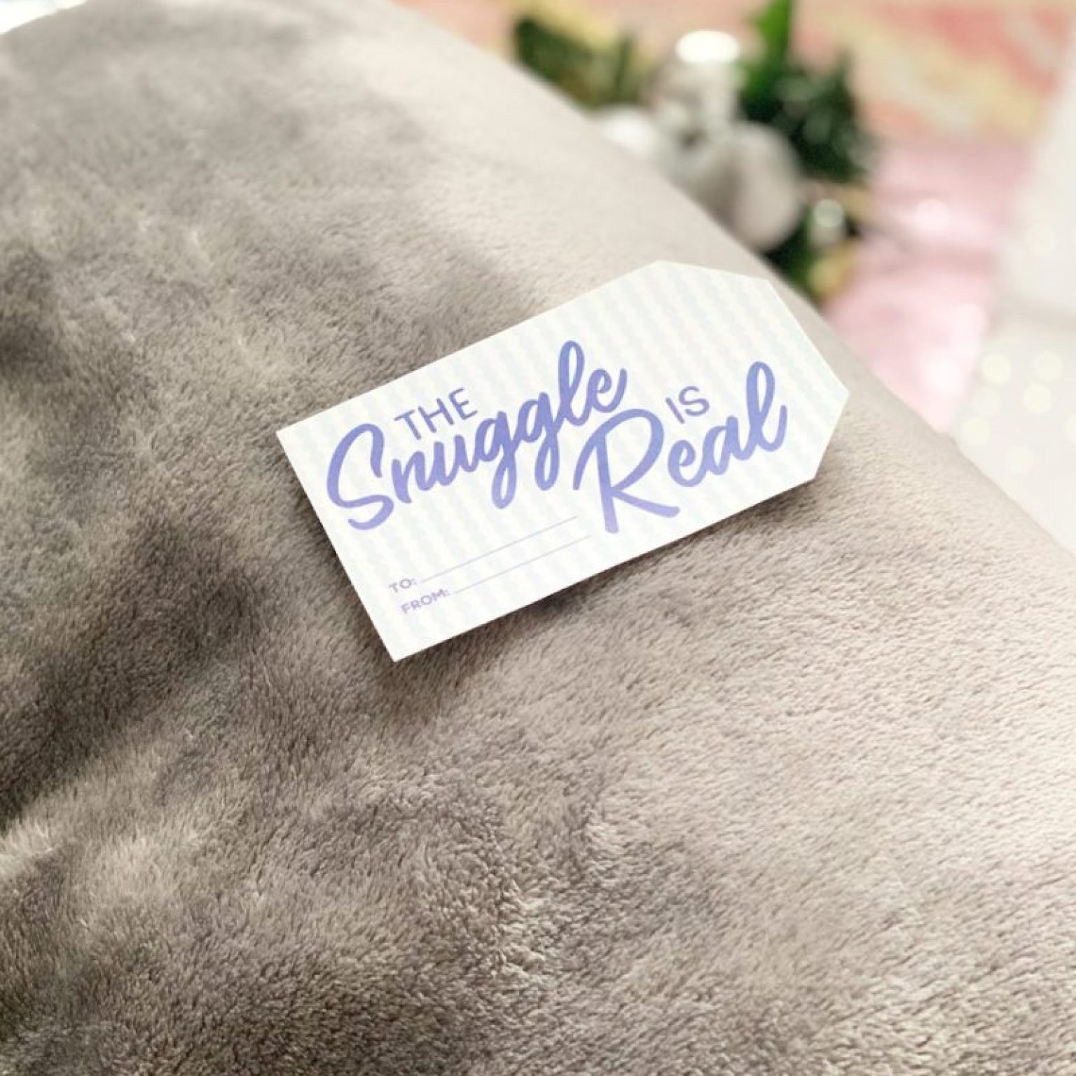 Great Gift Ideas & FREE Printable Tags – Just Posted